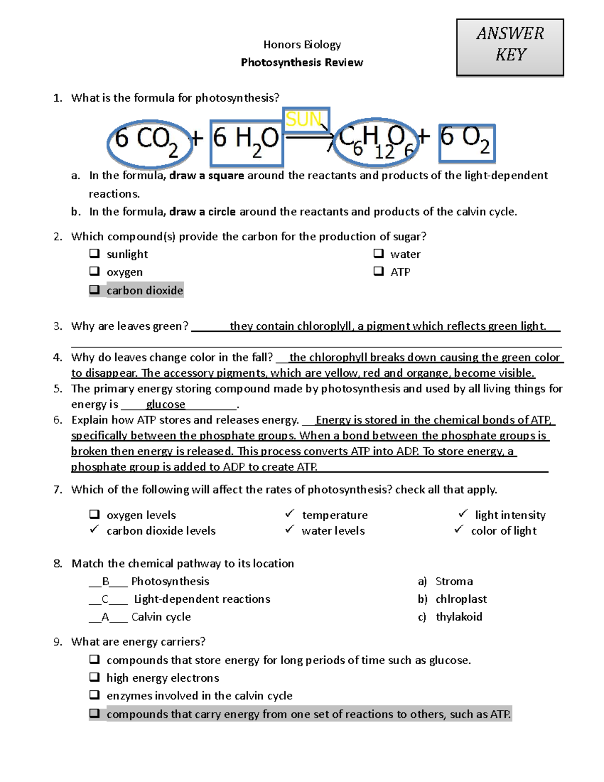 Photosynthesis WS Honors Key Honors Biology Photosynthesis Review photosynthesis-ws-honors-key-honors-biology-photosynthesis-review