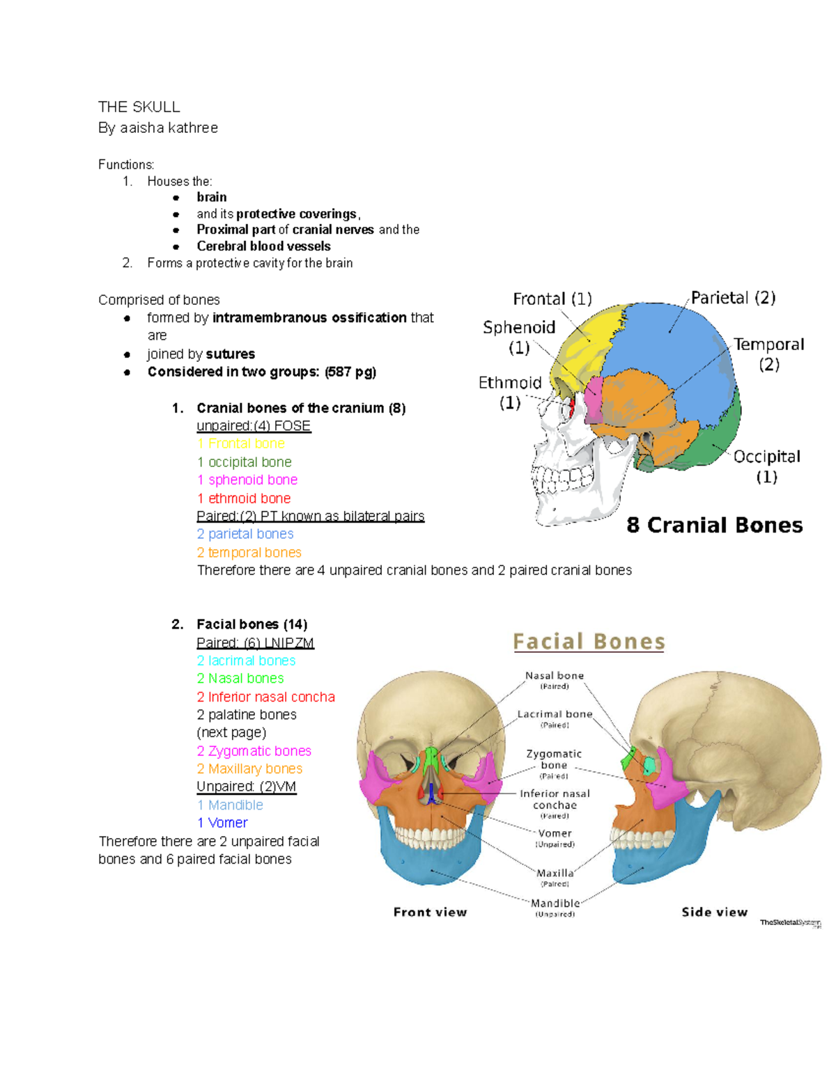 Practical 8 THE Skull - Summary Human Biology for dentistry - THE SKULL ...