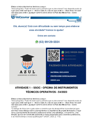 MAPA - SER - OFICINA DE INSTRUMENTOS TÉCNICOS OPERATIVOS - 54_2024 ...