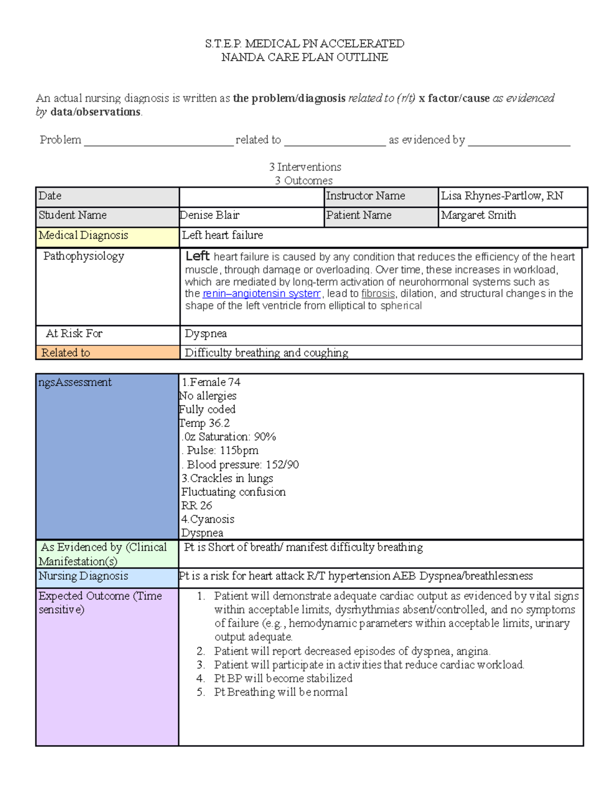 Nanda Care Plan Worksheet(s) (1) - S.T.E. MEDICAL PN ACCELERATED NANDA ...
