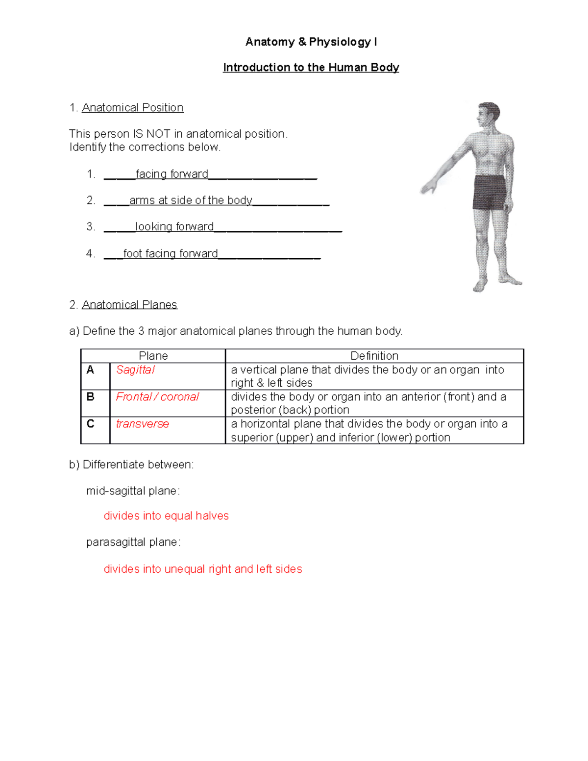 Week 1 Lab - Intro - teacher: Professor Patterson - Anatomy ...