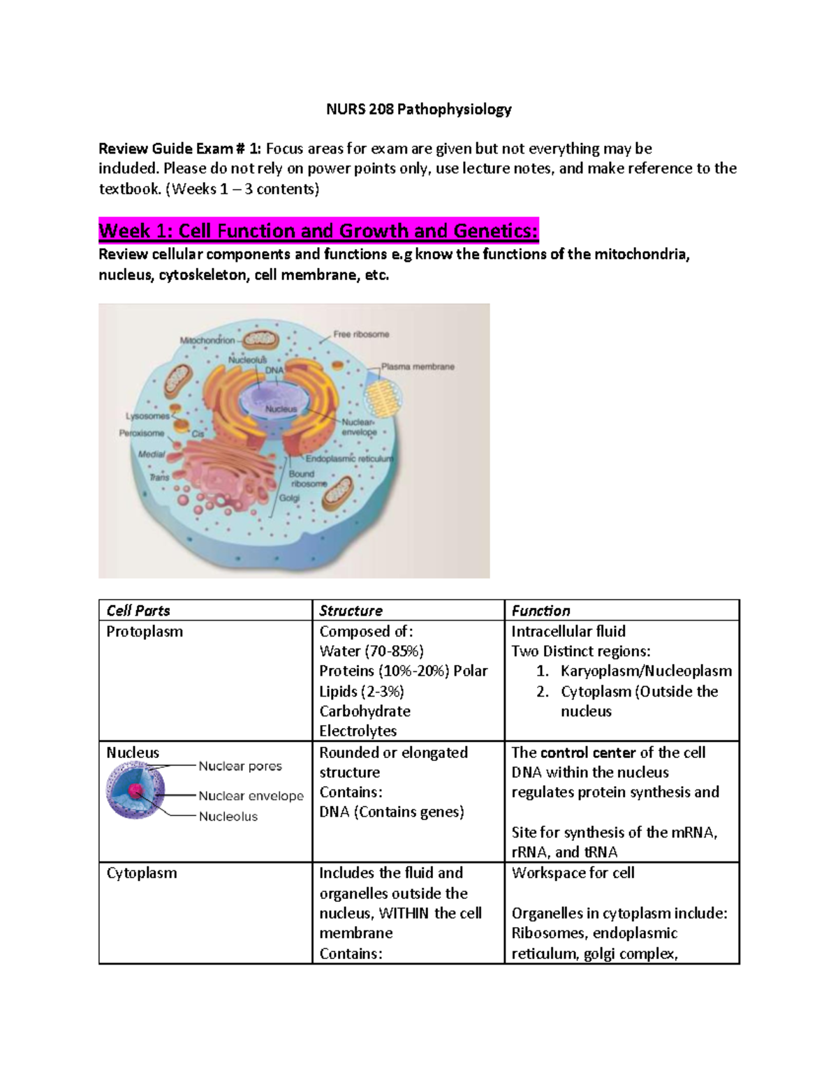 Pathophysiology Exam 1 Guide - NURS 208 Pathophysiology Review Guide ...