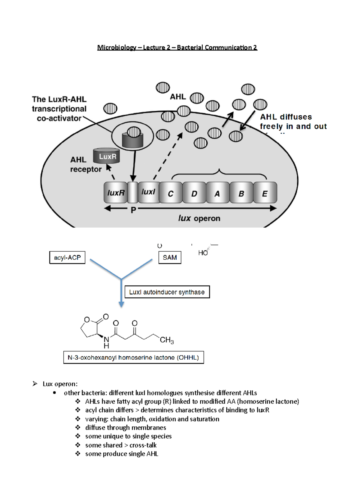 Microbiology – Lecture 2 – Bacterial Communication - 2 - Microbiology ...