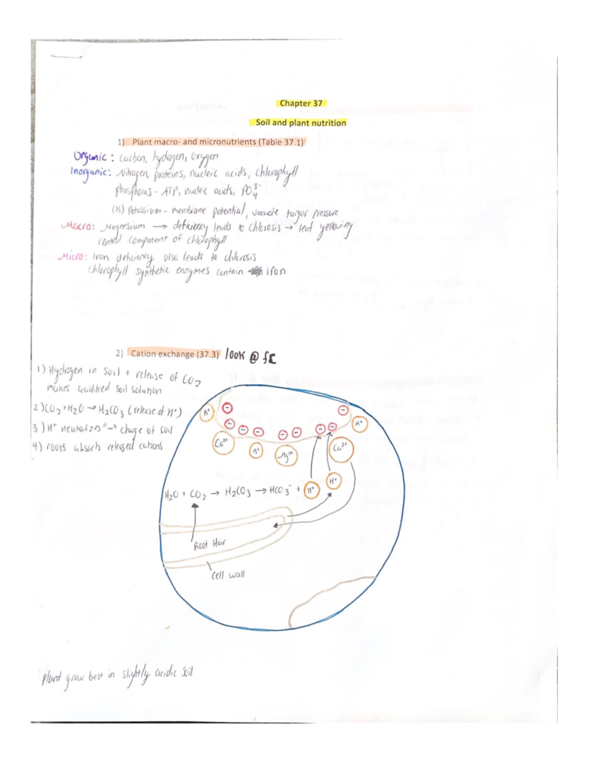 Soil And Plant Nutrition (Ch. 37) - BIOL 240W - Studocu