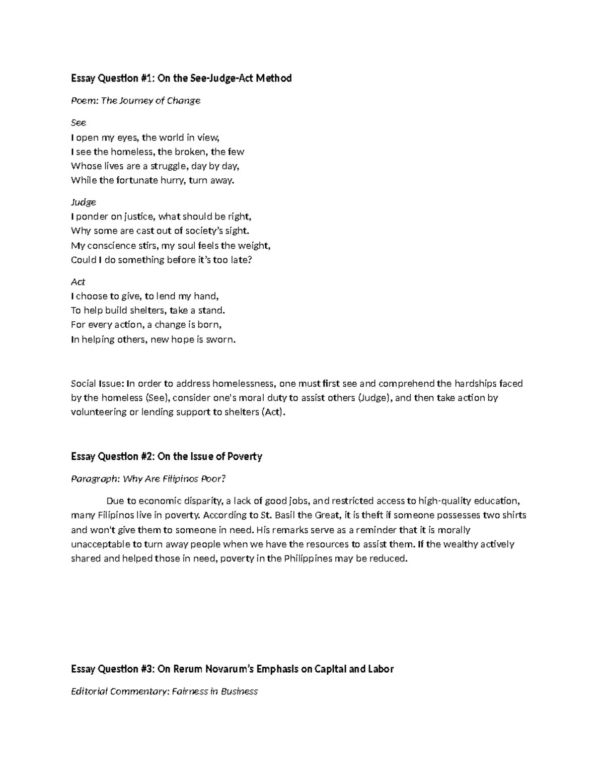 Man Church and Society - Essay Question #1: On the See-Judge-Act Method ...