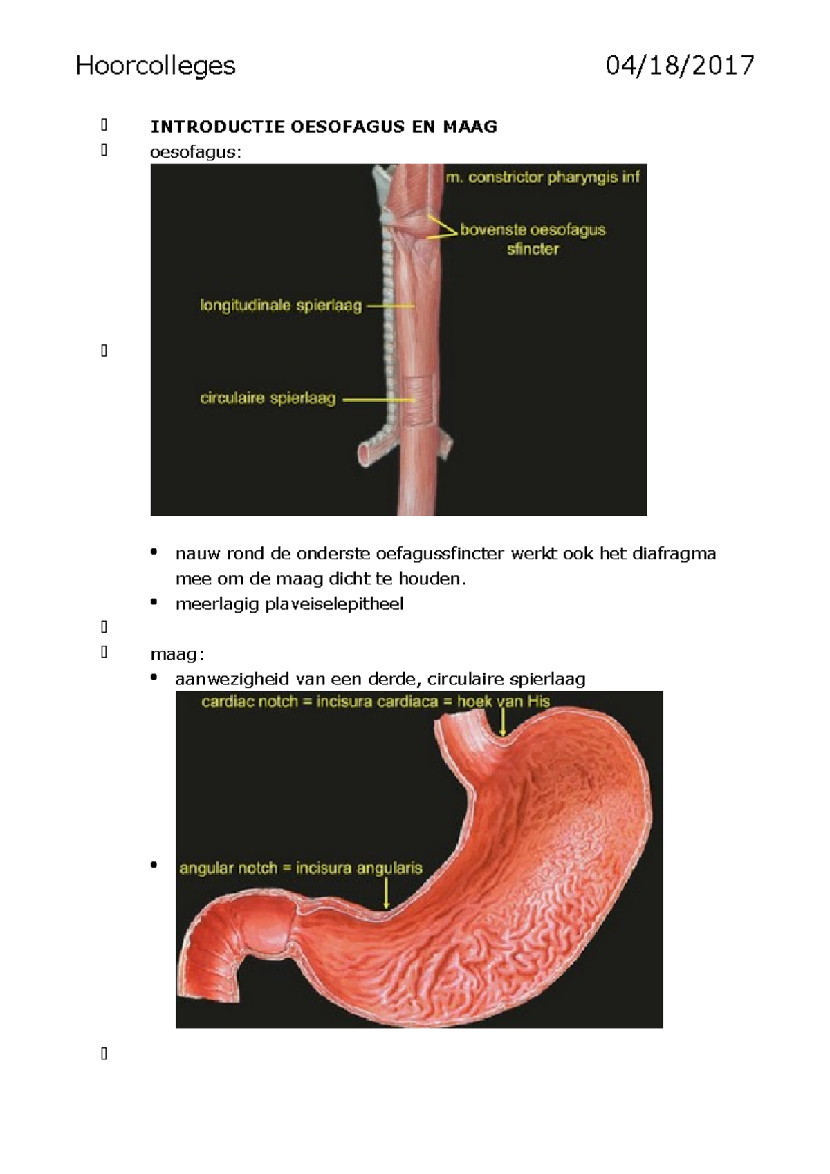 Aantekeningen week 1 - colleges - Hoorcolleges 04/18/2017 INTRODUCTIE ...
