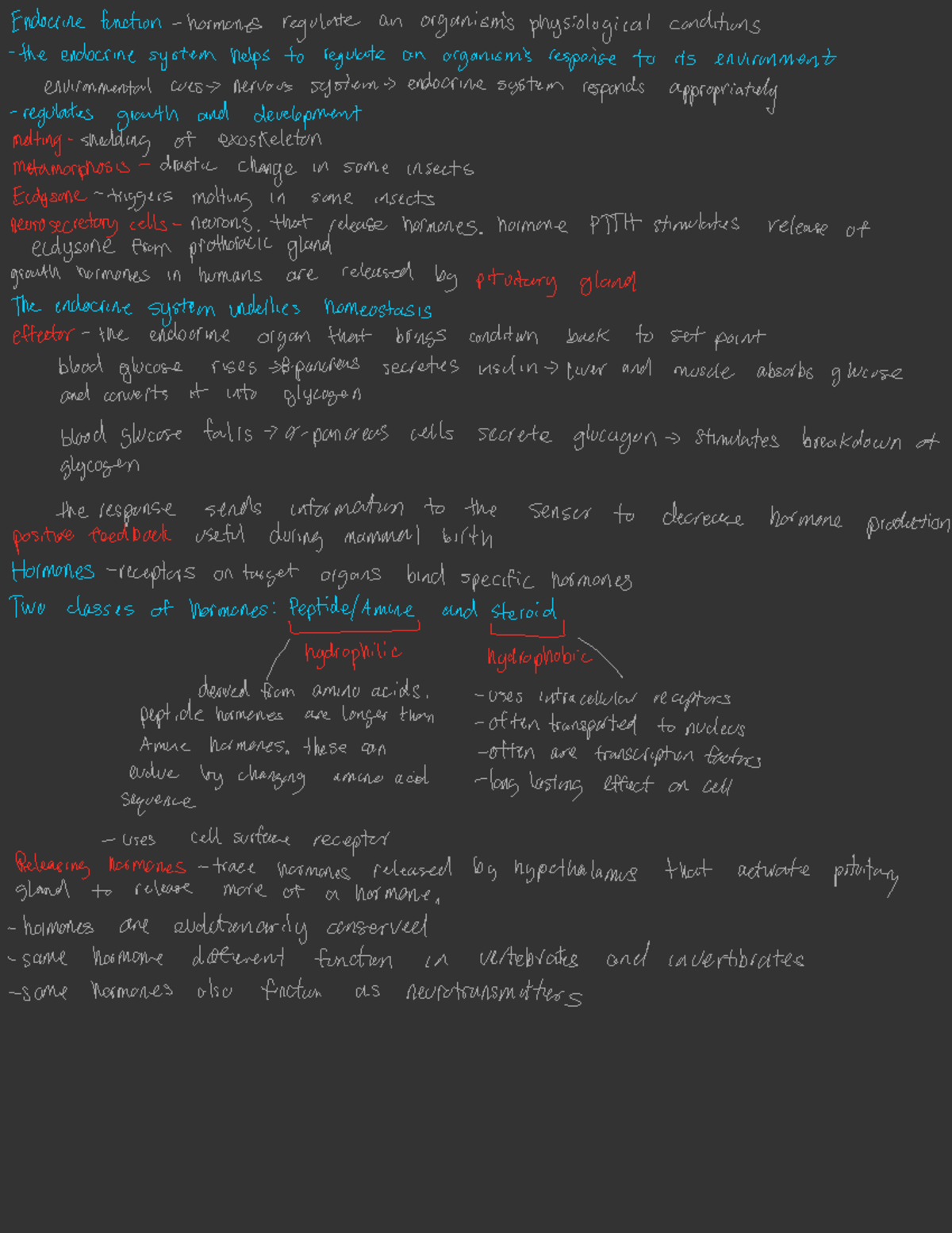 Endocrine System - Biology: How Life Works - Endocrine function ...