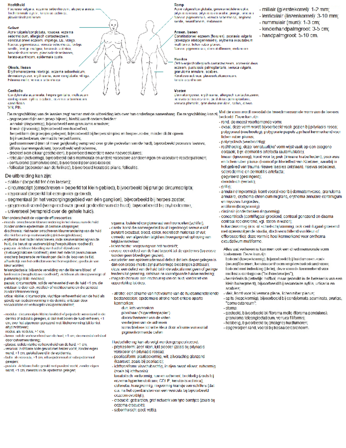 Samenvatting Provoke - Coschap Dermatologie - Studeersnel