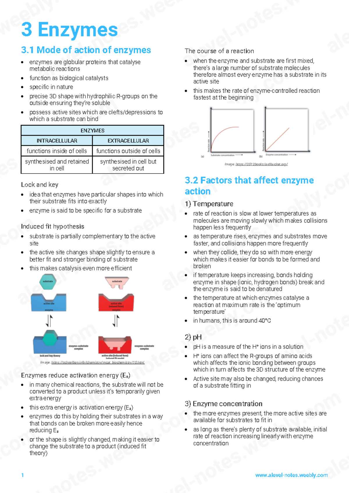 3 enzymes - a summery - 1 alevel-notes.weebly 3 Enzymes 3 Mode of ...