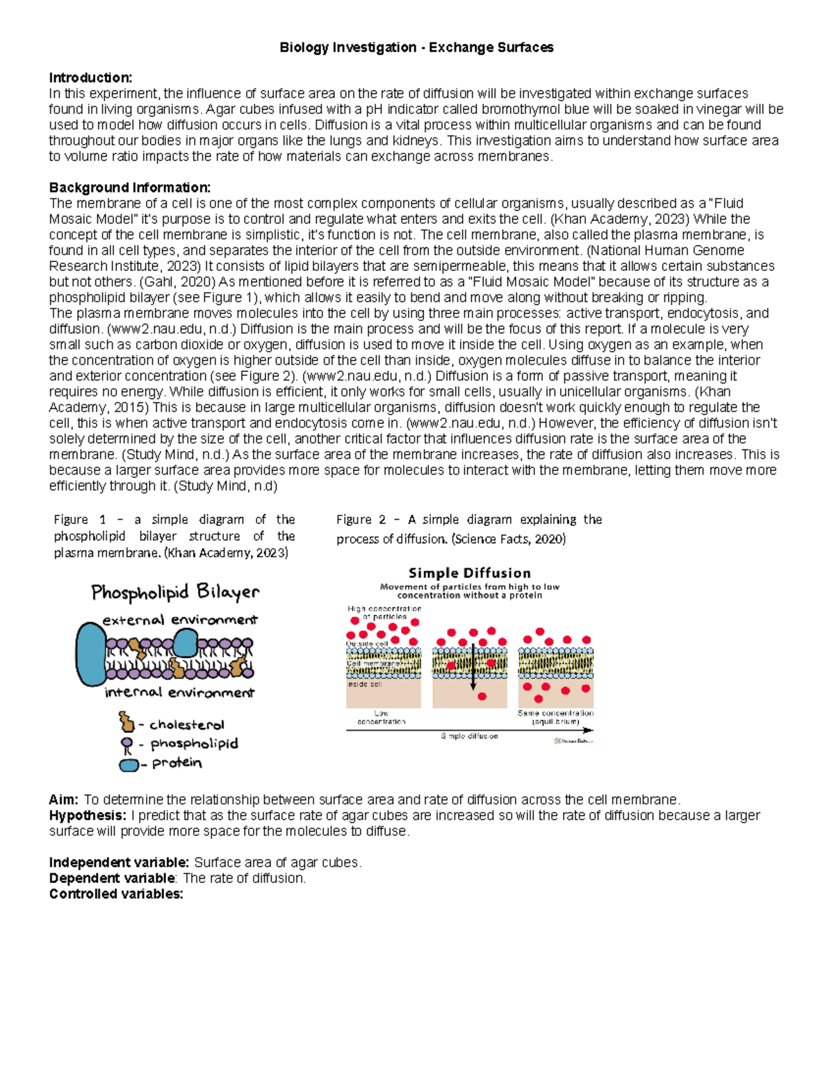 Biology Prac - Biology Investigation - Exchange Surfaces Introduction ...