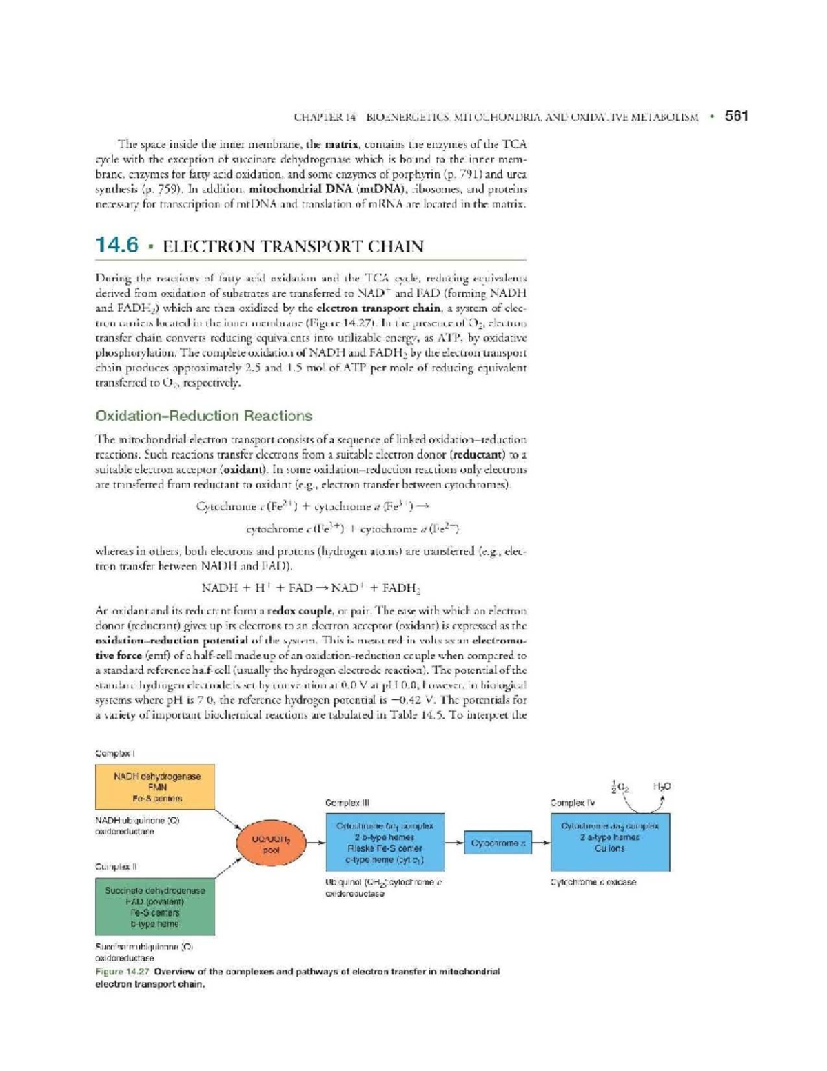 Electron transport - chem - Chemistry - Studocu