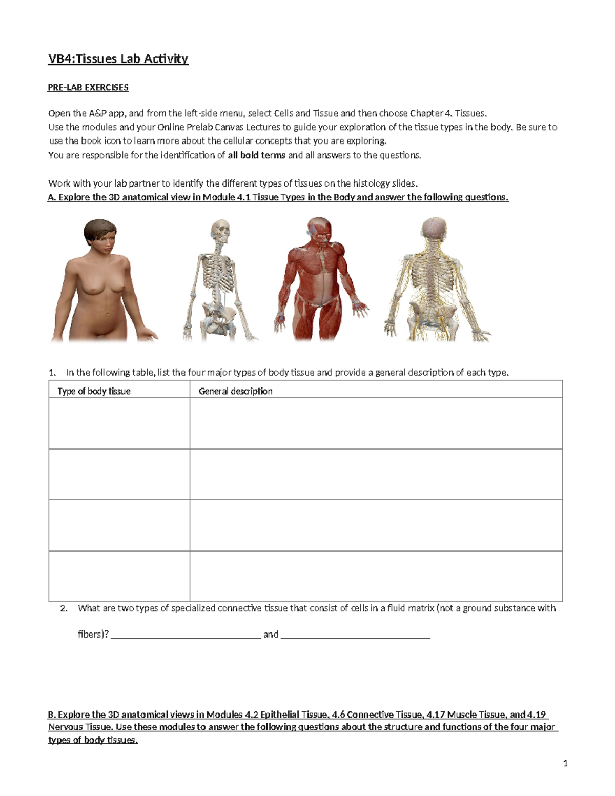 Lab Activity-Tissues and Histology - VB4:Tissues Lab Activity PRE-LAB ...