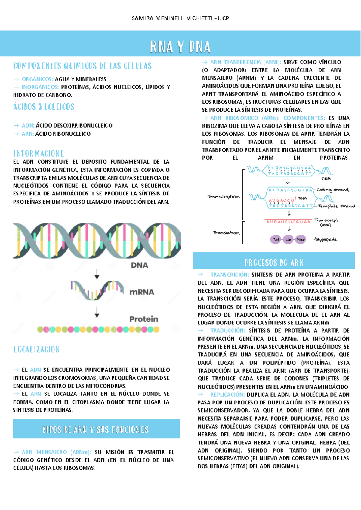 ARN Y ADN - Biologia - SAMIRA MENINELLI VICHIETTI - UCP COMPONENTES ...