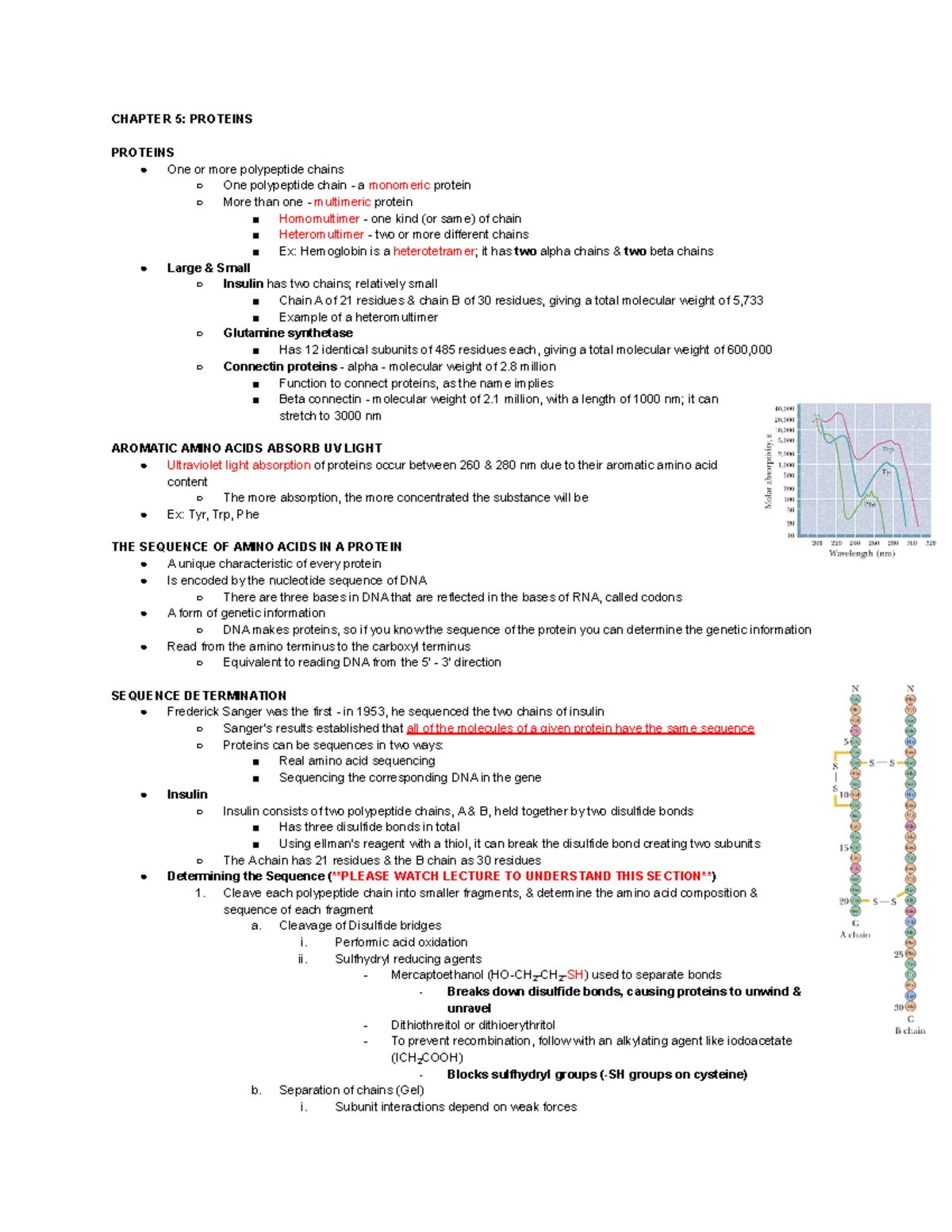 BCH 3033 Chp 5 Notes - CHAPTER 5: PROTEINS PROTEINS One or more ...