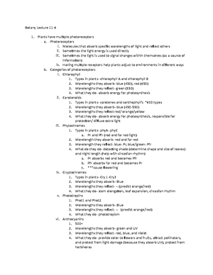 4 Tree ID with a Dichotomous Key Worksheet - Tree ID with a Dichotomous ...