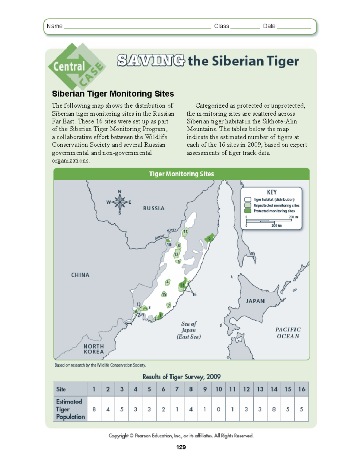 Case Saving Siberian Tiger WS - Name Class Date 129 Siberian Tiger ...