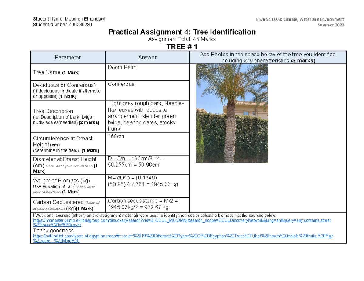 Practical Assignment Neighbourhood Tree ID - Summer 2022 - Student Name ...