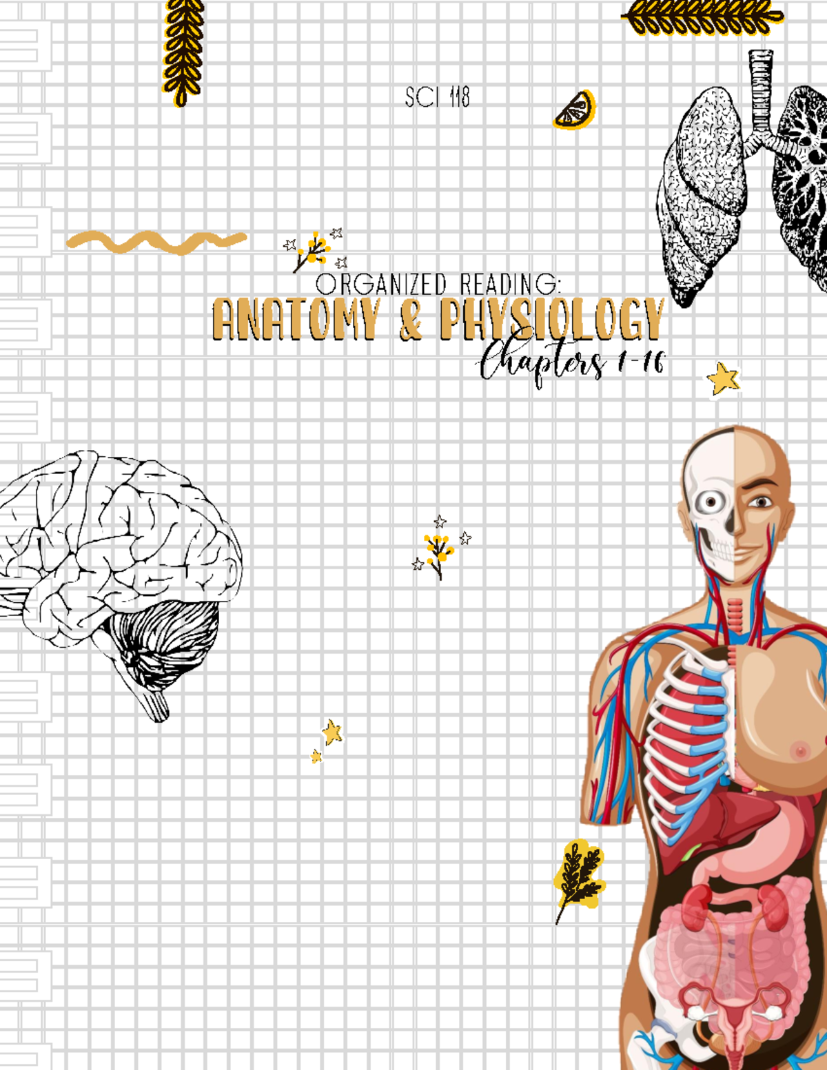 Study Guide- The Human Body and Cell Structure- Anatomy and Physiology ...