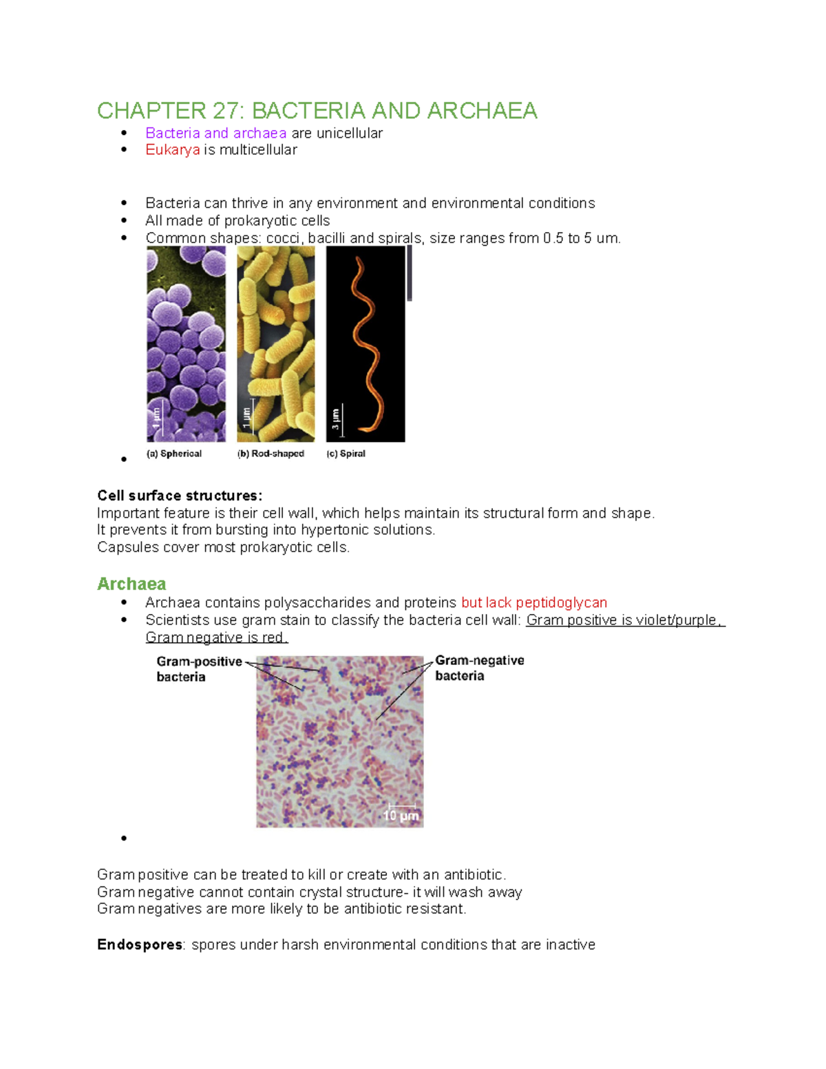 AP Biology Notes II - urhoeeoutheouthourtgheorug - CHAPTER 27: BACTERIA ...