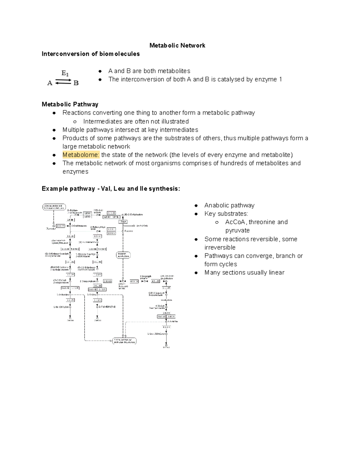 Lecture 2 - Network Overview - Metabolic Network Interconversion of biomolecules A and B are ...