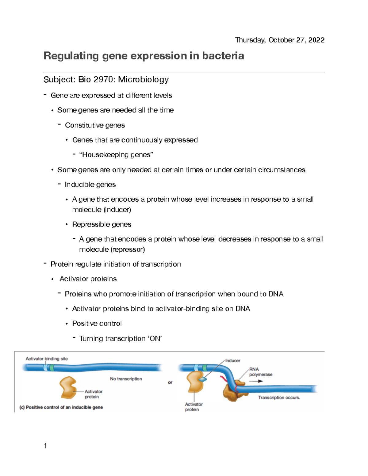 Regulating gene expression in bacteria - Regulating gene expression in ...