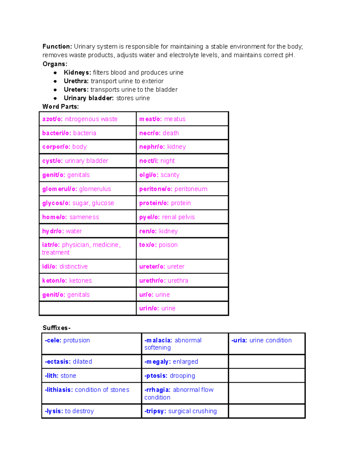 Ch. 9 - Urinary System - Function: Urinary system is responsible for ...