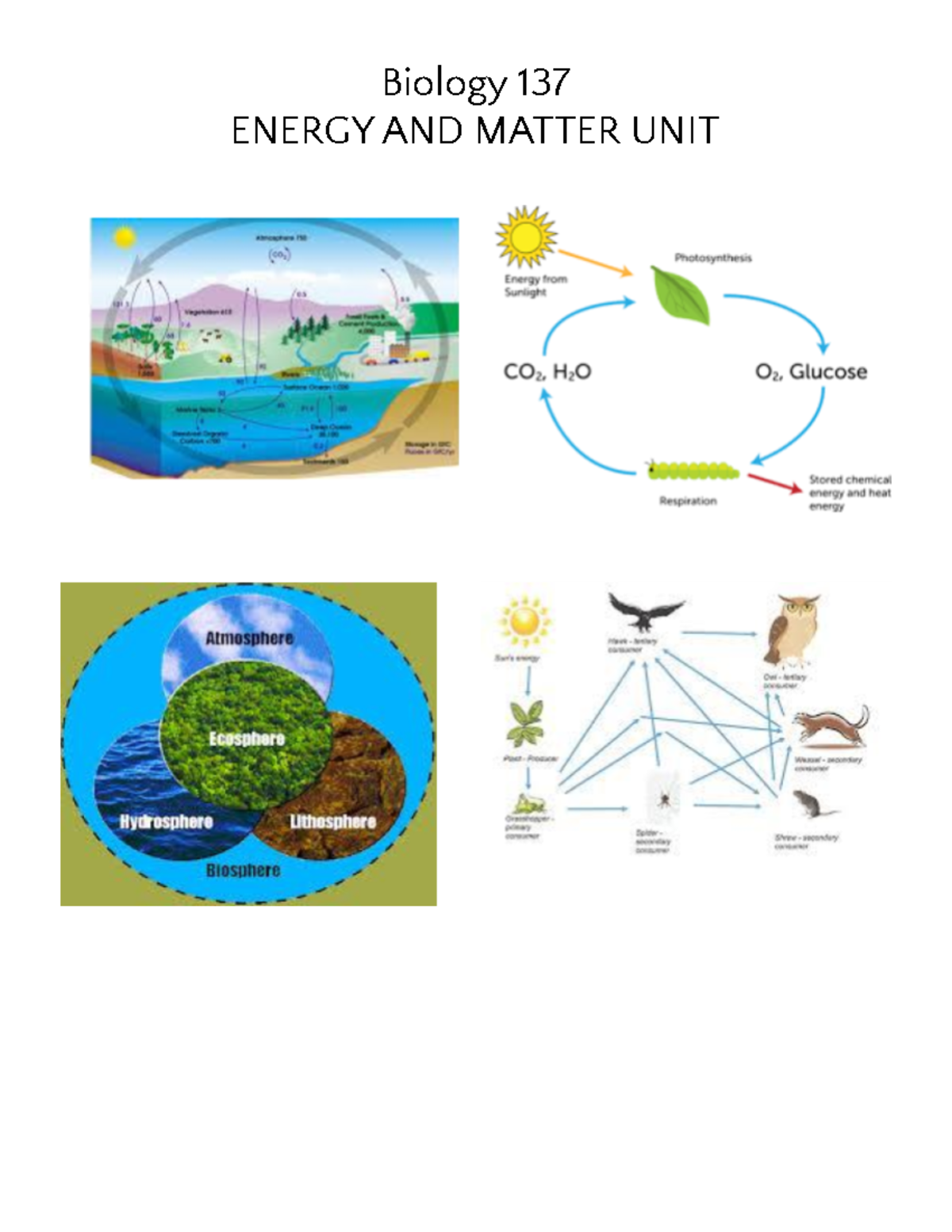 Energy and Matter Packet 2022 - Biology 137 ENERGY AND MATTER UNIT ...