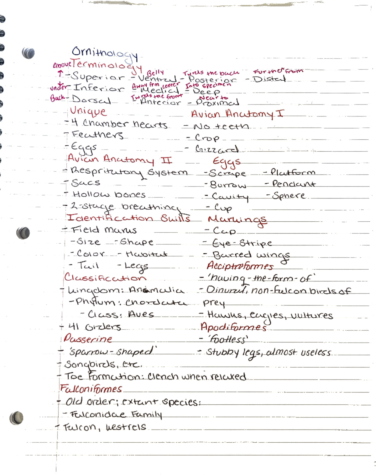 Ornithology - BIO 1000 - Studocu