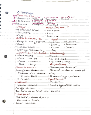 Predator and Prey - BIO 1000 - Studocu