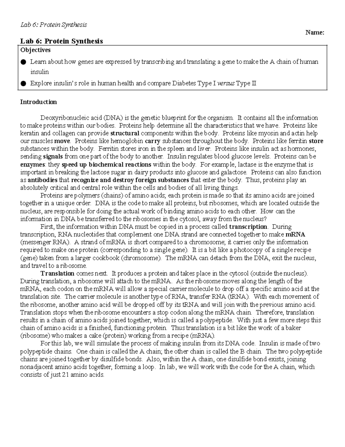 Protein Synthesis Lab - Name: Lab 6: Protein Synthesis Objectives Learn ...
