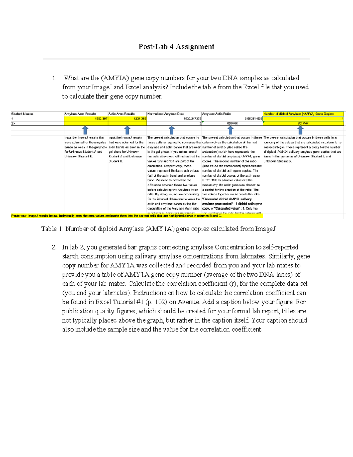 Lab 4 (1) - lab 4 answers to gene copy number - Post-Lab 4 Assignment What are the (AMYIA) gene ...