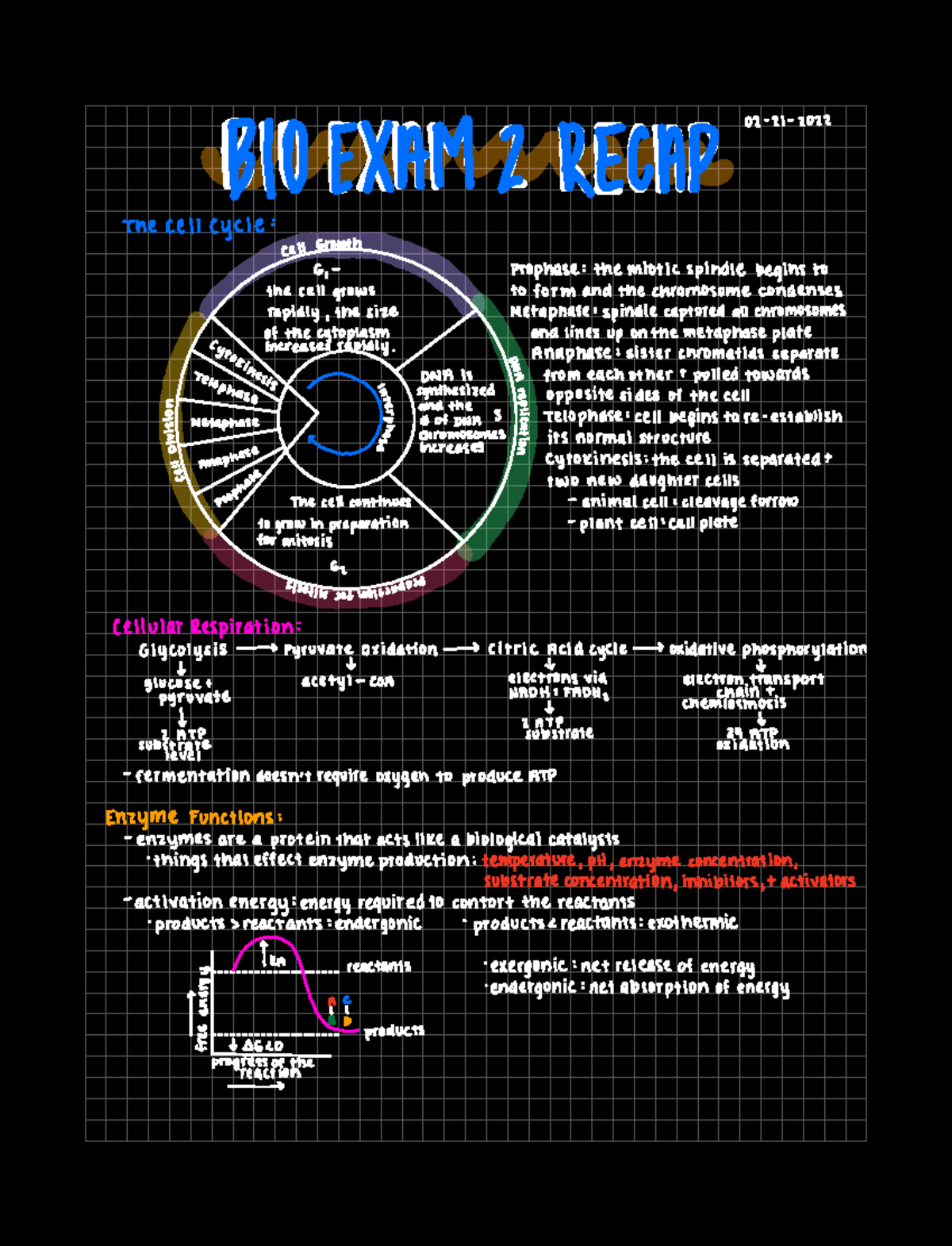 Bio Exam 2 Recap - Dr. Geiger Cheat Sheet Material, Exam 2 ...