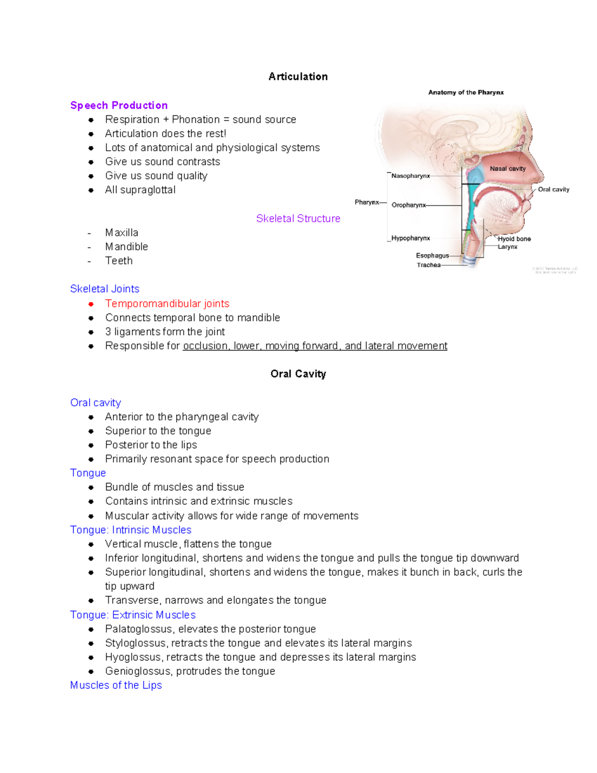 7. 10 2, Articulation 2 - Articulation Speech Production Respiration ...
