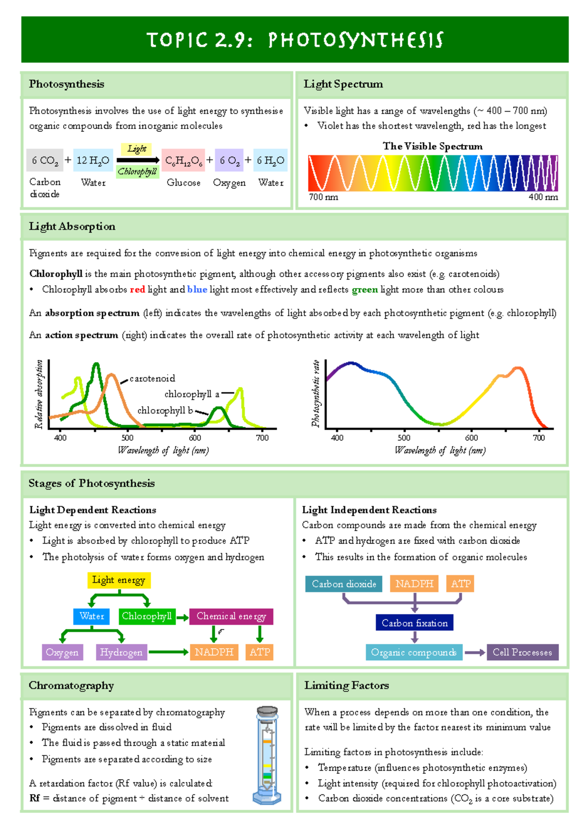 2.9 Photosynthesis - WORKSHEET SUMMARY NOTES - Topic 2: PHOTOSynTHESIS ...
