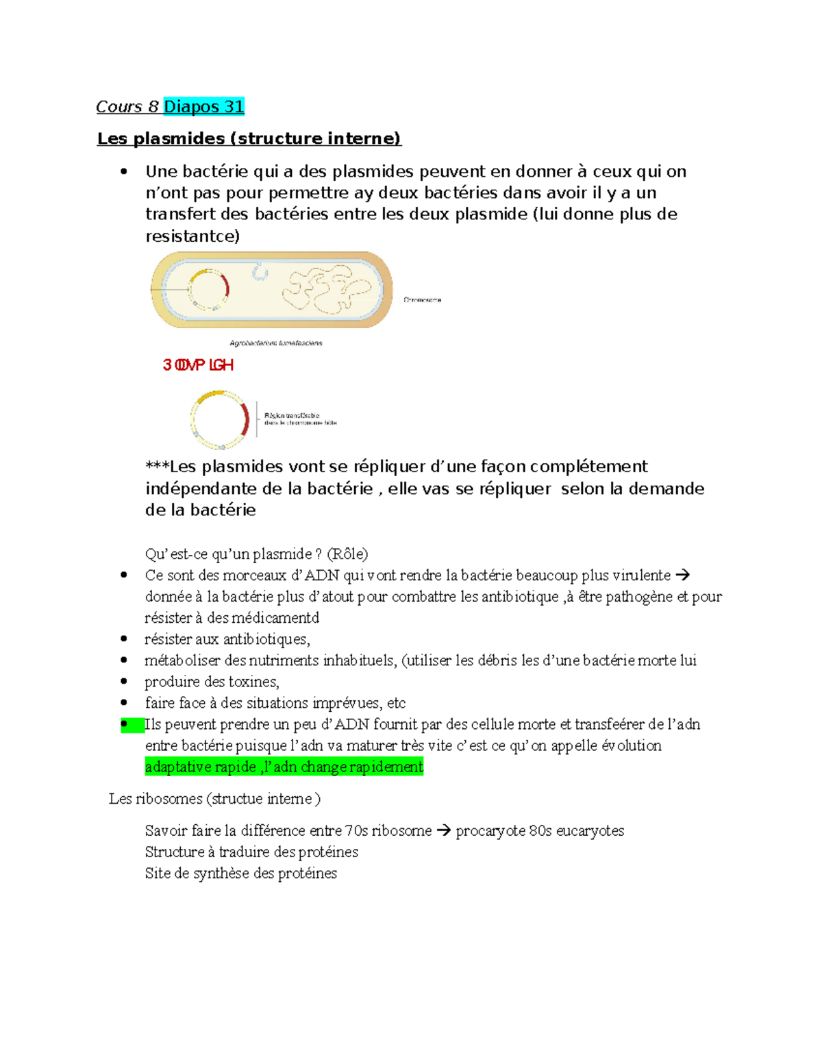 BIO Chapitre SUR LA Cellule Procaryote 11 - Cours 8 Diapos 31 Les ...