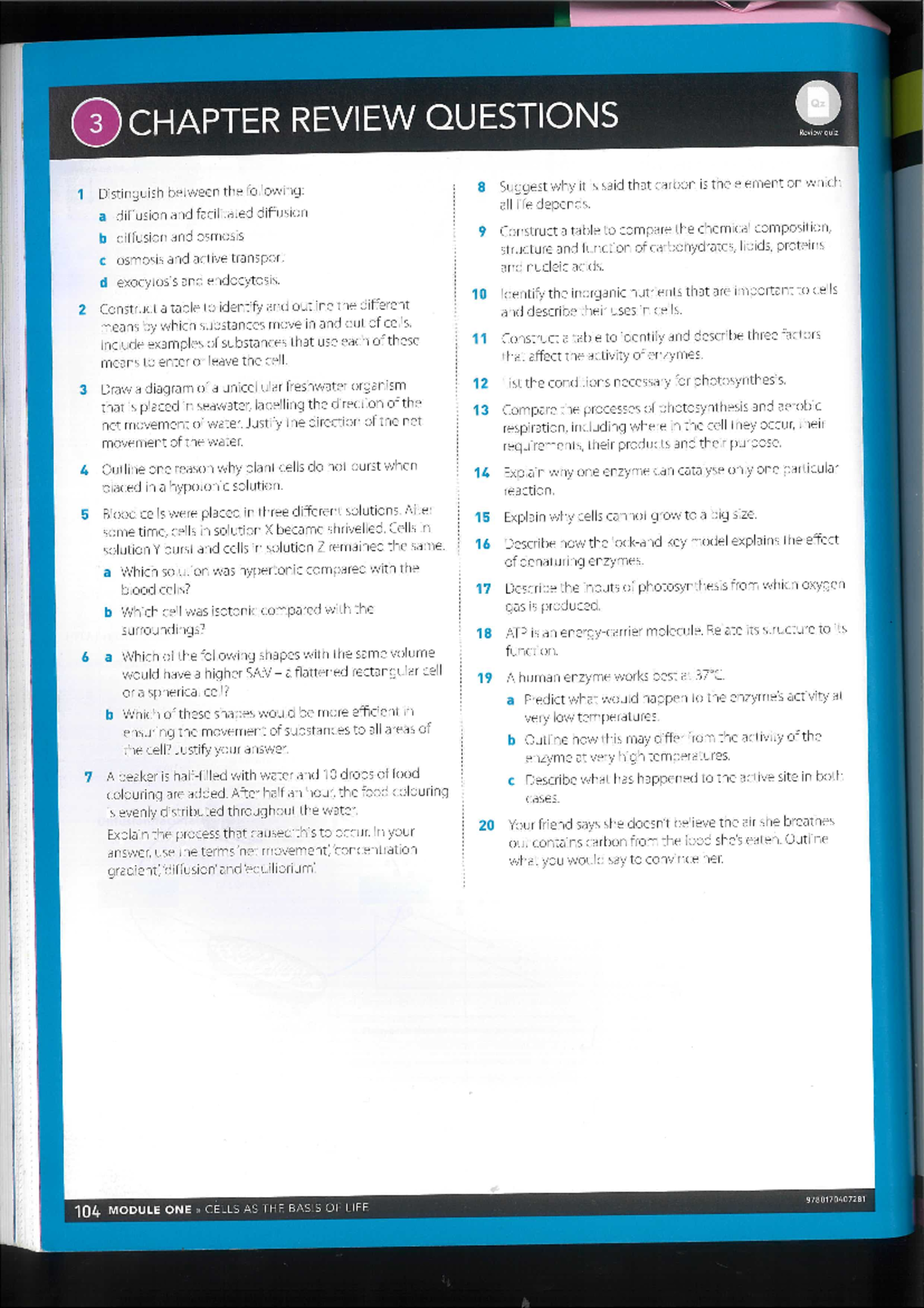 11Bio Text Revision Qs Module 2-4 Ski Trip - 3 CHAPTER REVIEW QUESTIONS ...