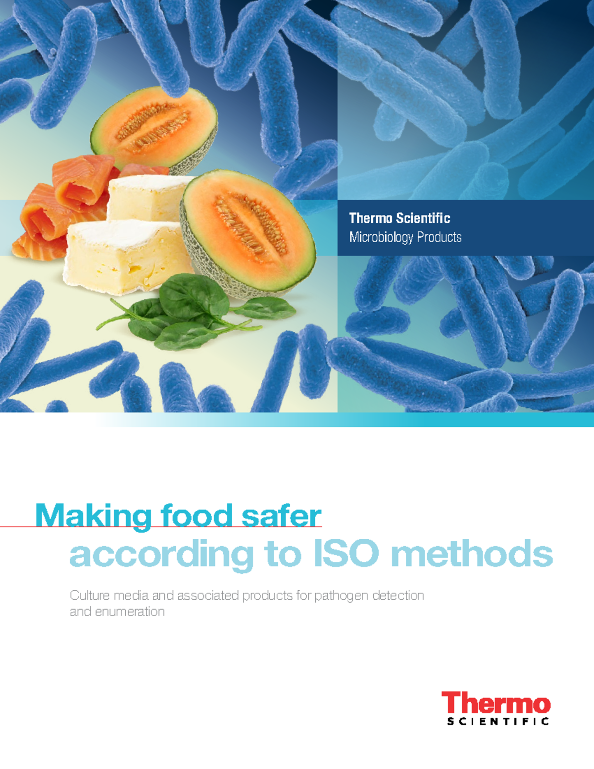 ISO Food Safety - ISO FOOD - Making food safer according to ISO methods ...