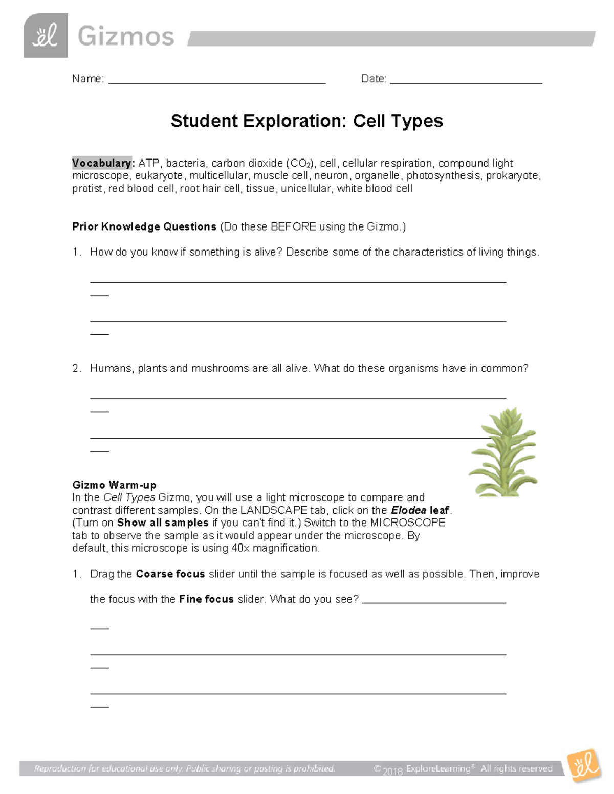Cell Types SE - no information - Name: Date: Student Exploration: Cell ...