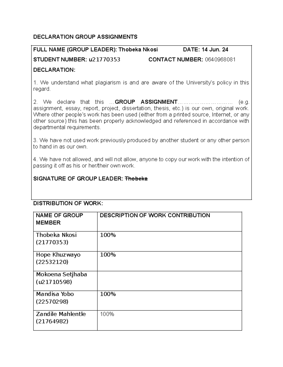 JLZ 300 Reflection Final doc - DECLARATION GROUP ASSIGNMENTS FULL NAME (GROUP LEADER): Thobeka ...