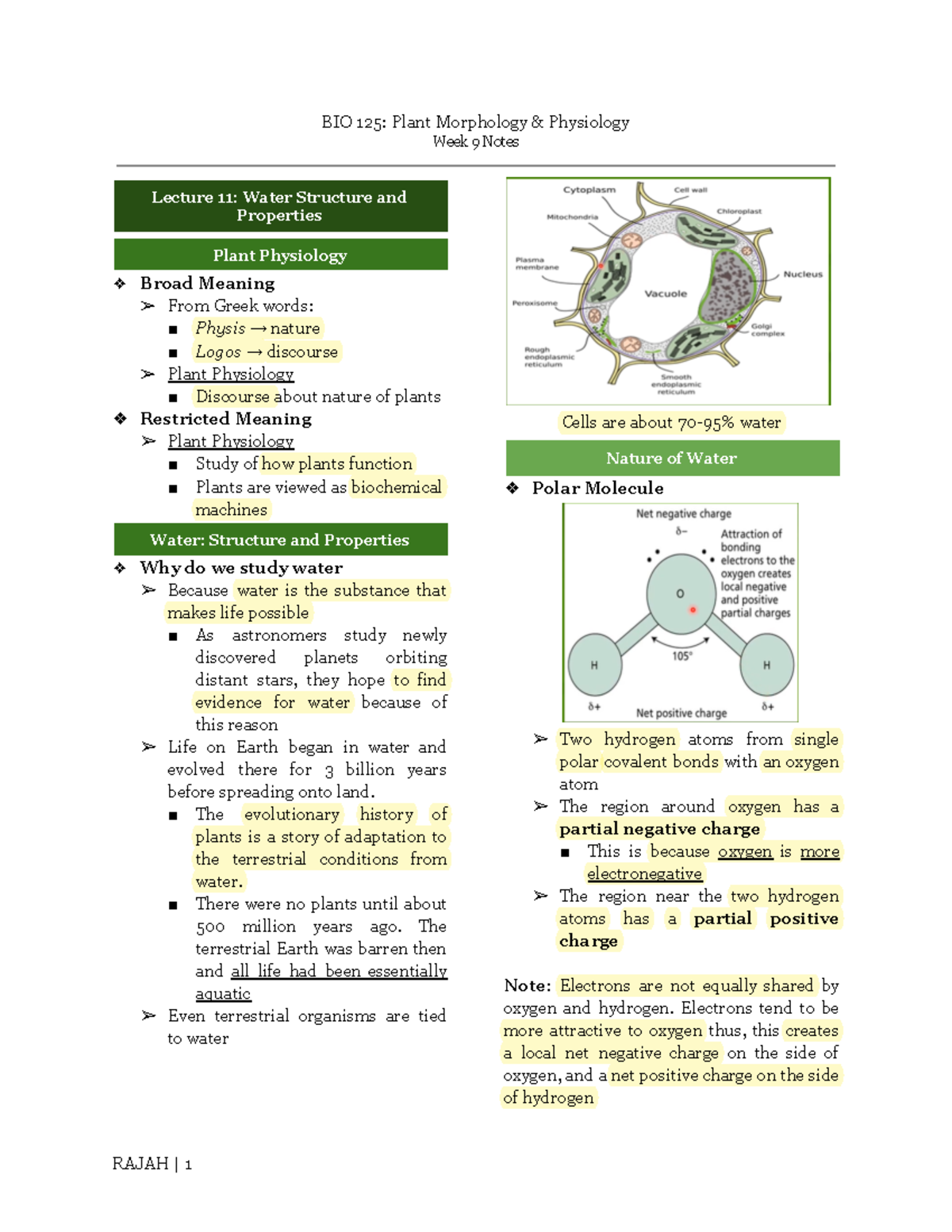 Water Molecules - BIO 125 : Plant Morphology & Physiology Week 9 Notes ...