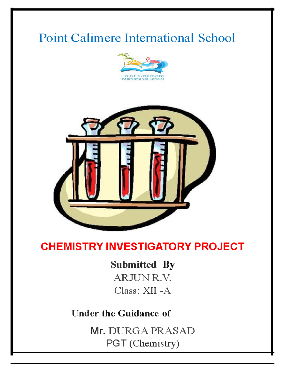 Chemistry Project - Point Calimere International School ...