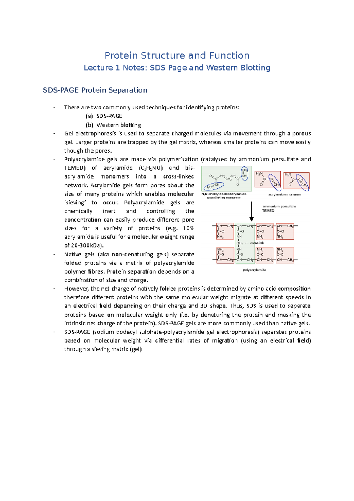 Lecture 1 Notes (SDS Page and Lab Reports) - Protein Structure and ...