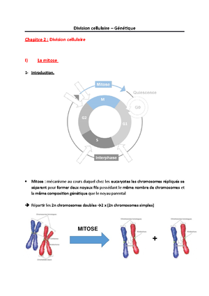 Fiche révision - Méiose - Mitose - Mitose → Informations gÈnÈrales : → ...