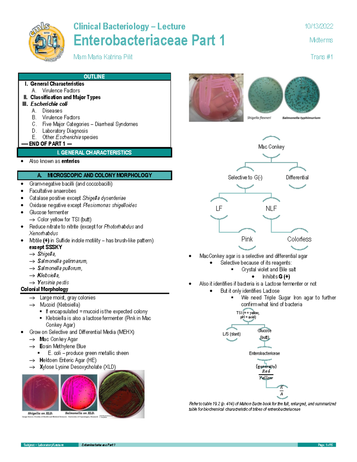 2. Enterobacteriaceae Part 1 - BS Medical Technology - De La Salle ...
