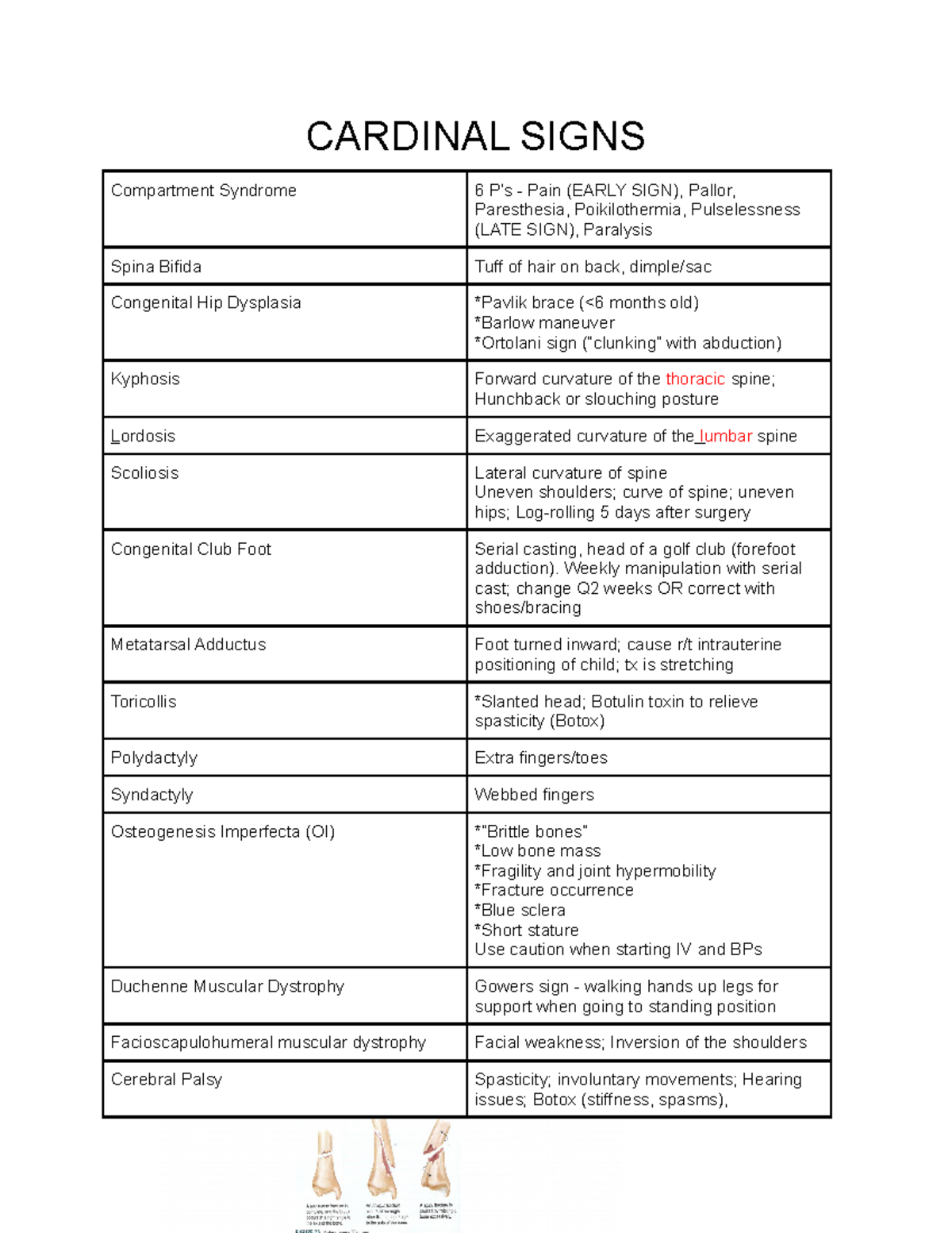 Cardinal Signs chart for Exam V very helpful - CARDINAL SIGNS ...