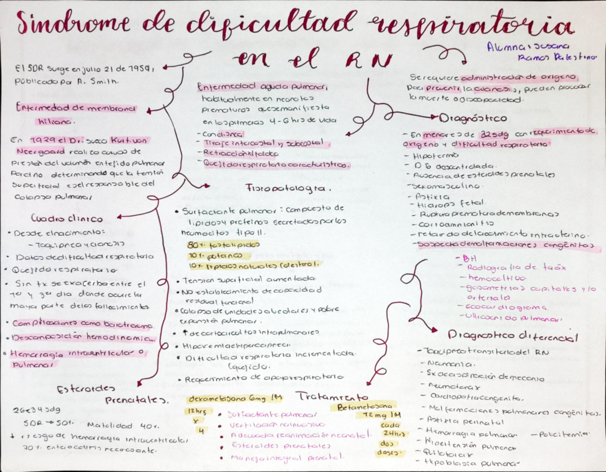 22 mapa conceptual Síndrome de dificultad respiratoria en el RN ...