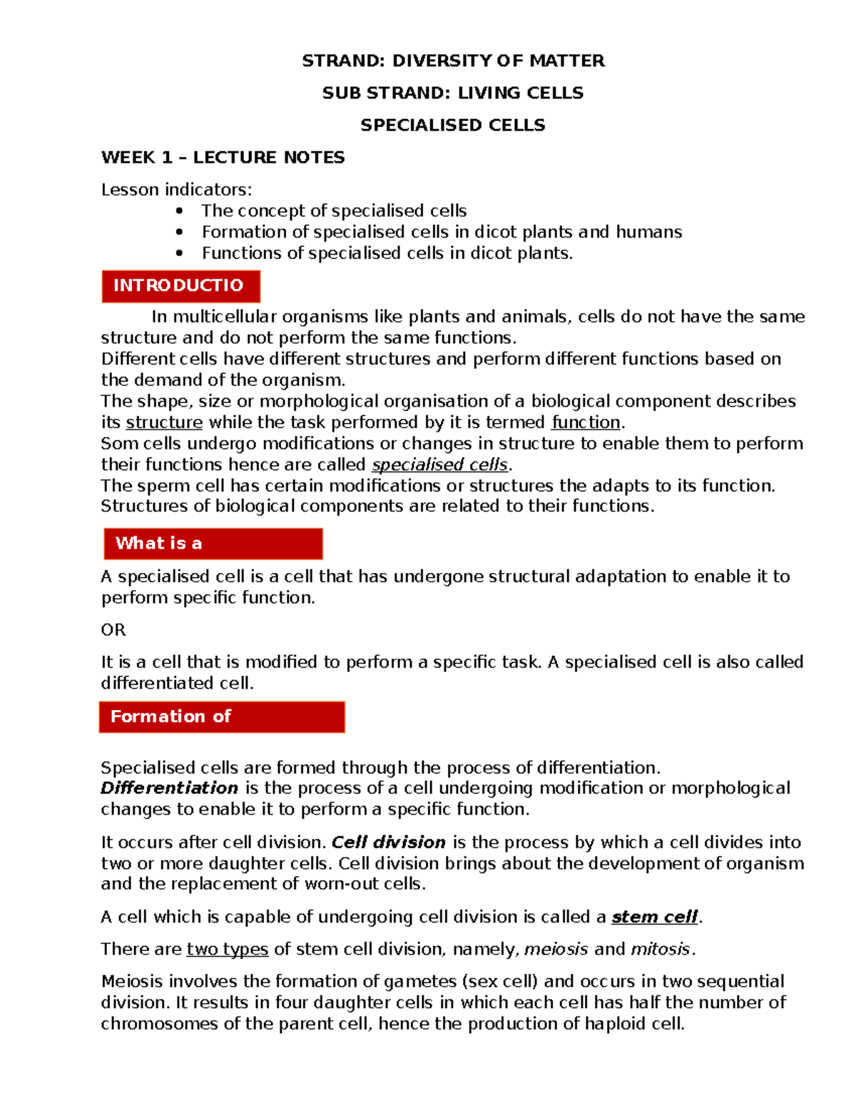 Speciliased Cells - Reading material - STRAND: DIVERSITY OF MATTER SUB ...