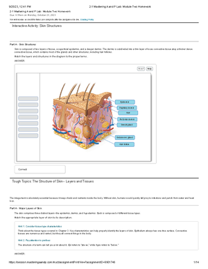 3-1 Mastering A P Lab Module Three Homework - Which of these ...