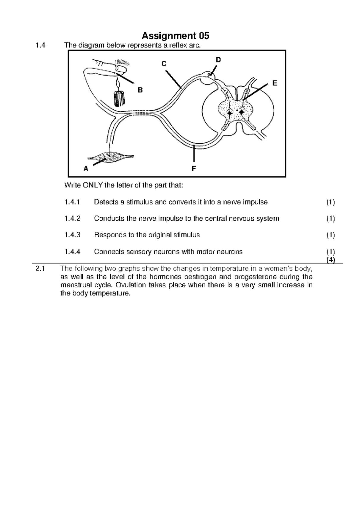 Assignment 05 - to be done - Assignment 05 1 The diagram below represents a reflex arc. Write ...