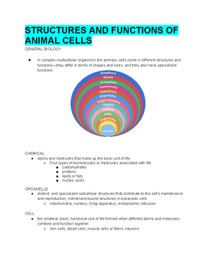 Subcellular Organelles- Study Guide - SUBCELLULAR ORGANELLES GENERAL ...